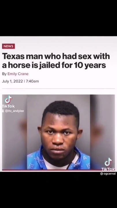 Man Had Sex With Horse Youtube
