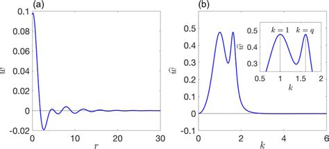 Connectivity Function And Its Fourier Transform For The Neural Field