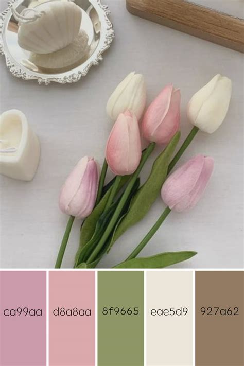 Color Schemes Colour Palettes Brand Color Palette Brand Colors Color
