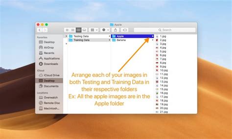 Introduction To Create Ml How To Train Your Own Machine Learning Model In Xcode