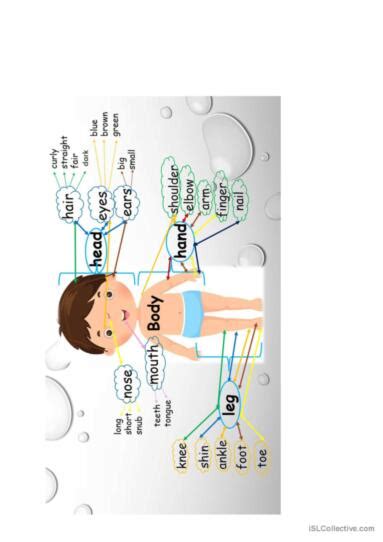 Esl Body Vocabulary Pictionary Pict English Esl Worksheets Pdf And Doc