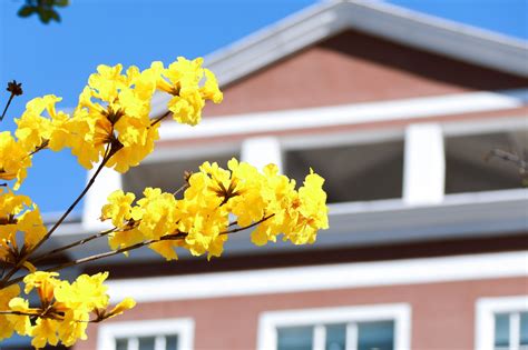 深圳职业技术大学