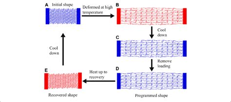 Shape Memory Cycle Of The Lattice Structures In Step 1 The Lattice Download Scientific