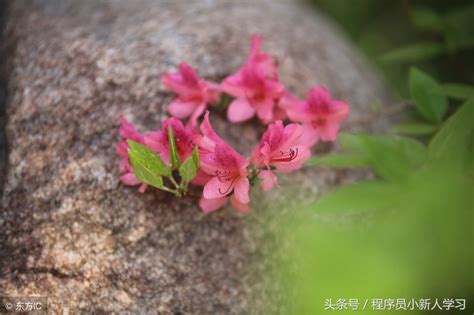 Javamail 发送qq邮件 Csdn博客