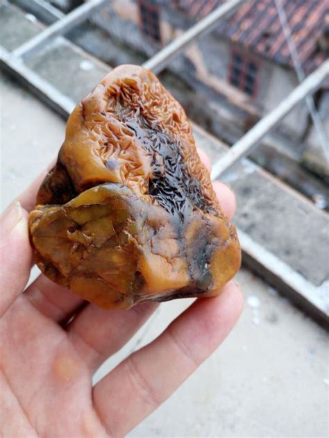 黃臘石雞爪紋小精品 每日頭條