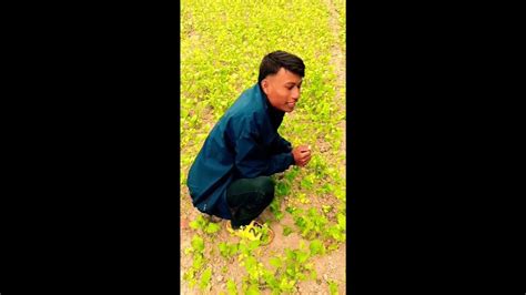 মুই এক সপ্তার জন্য গুরিবা জাম বোস্ট শর্ট ভিডিইওসcomedy Funny