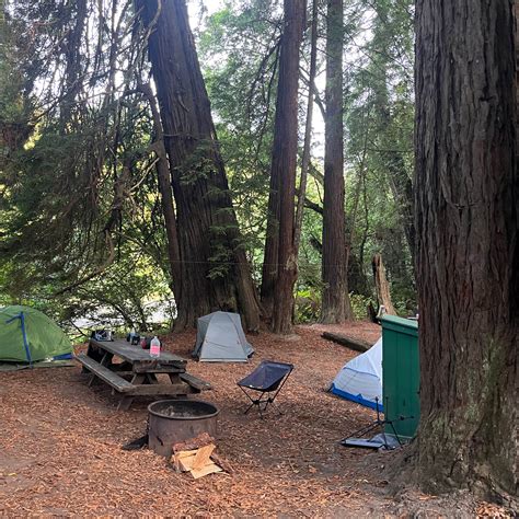 Gualala Point Regional Park Camping Gualala California