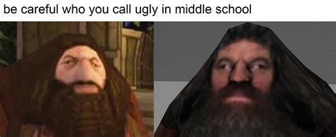 Harry Potter Ps1 Hagrid Trend Meme