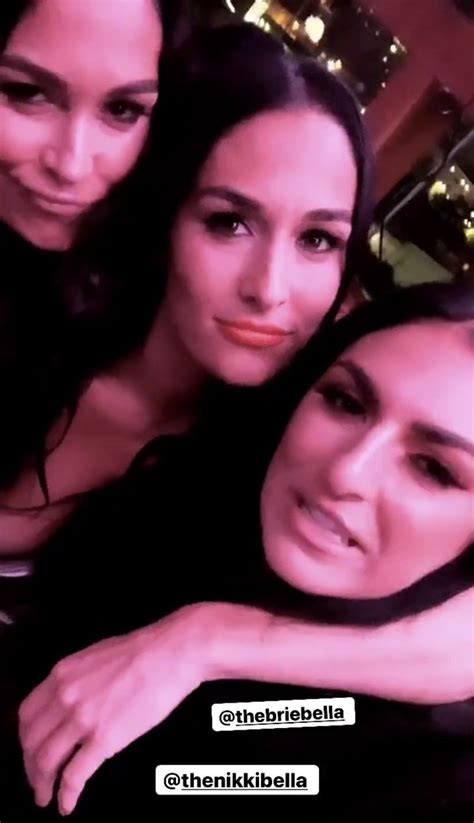 Nikki Brie Bella Sonya Deville Brie Bella Bella Twins Bella