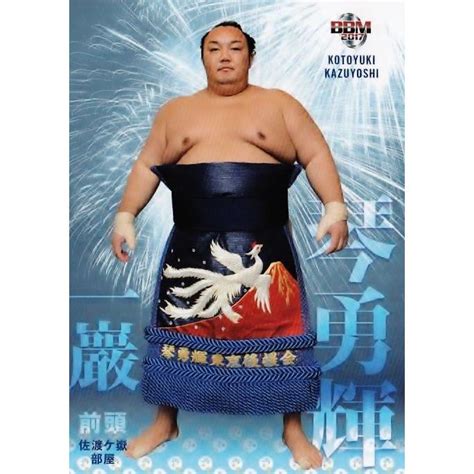 29 【琴勇輝 一嚴】bbm2017 大相撲カード 「魂」 レギュラー 17sumo Tm 29スポーツカード ジャンバラヤ 通販