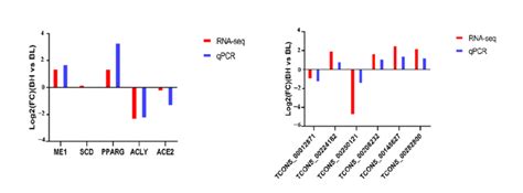Validation Of Differentially Expressed Genes And Lncrnas Using Qpcr