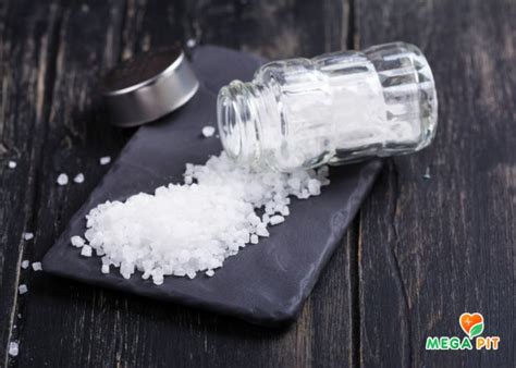 Соль крупная Купить КАЗАХСТАН Алматы | Астана | Караганда | Megapit.kz
