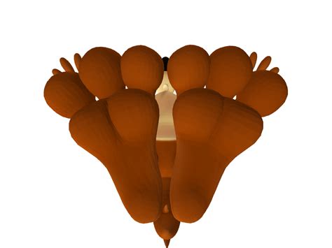 Wile E Feet Close Up 3d Without Toe Claws 8 By Ld1998 On Deviantart