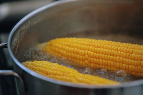 Cook Corn Like A Pro Tips For Perfect Tender Kernels Every Time