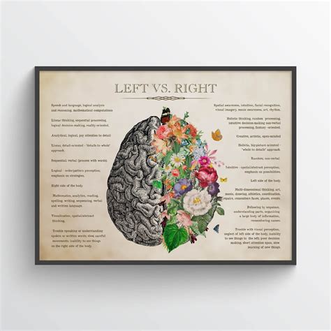 Left And Right Brain Function Anatomy Print Psychology Decor Classroom Therapy University