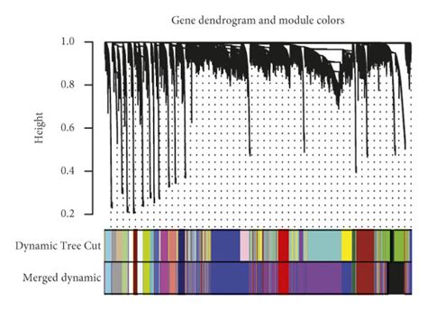 weighted gene coexpression network analysis a sample cluster b