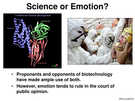 Ppt Ecological Effects Of Transgenic Crops Powerpoint Presentation