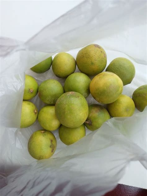 This Is A Lime It Tastes Sweet And Sour Stock Image Image Of Sweet Lime 342756829