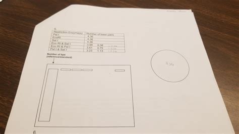 Solved Using The Circle Provided Construct A Labeled Chegg