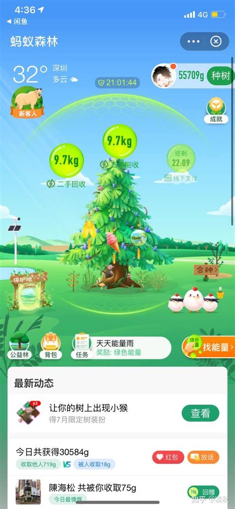 支付宝种树偷能量 知乎