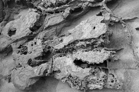 Close Up On The Texture Of The Rock Background Stone Stock Image