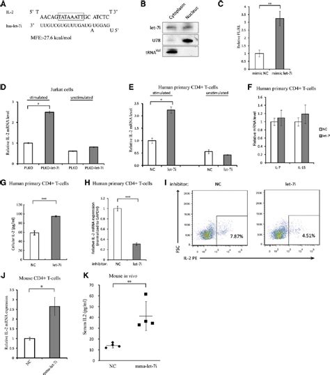 Let 7i Enhances Il 2 Promoter Activity In Human And Mouse Primary Cd4