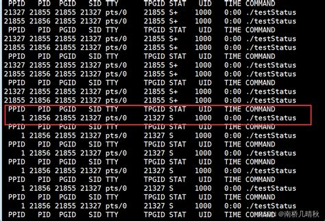 探索linux下进程状态 僵尸进程 孤儿进程linux Sleeping释放 Csdn博客