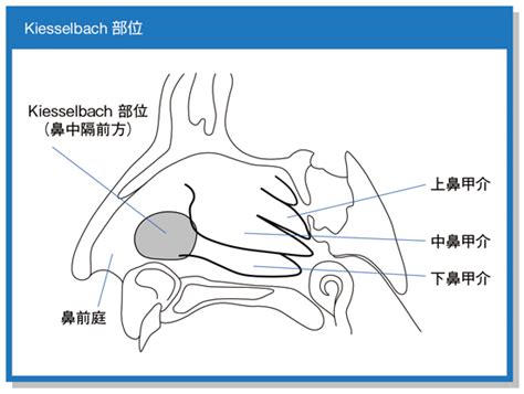 18207820 鼻出血 CBT M3E Medical