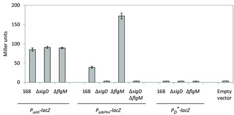 B Galactosidase Activity Of P Yybs Lacz P Gdppas Lacz And P D Lacz