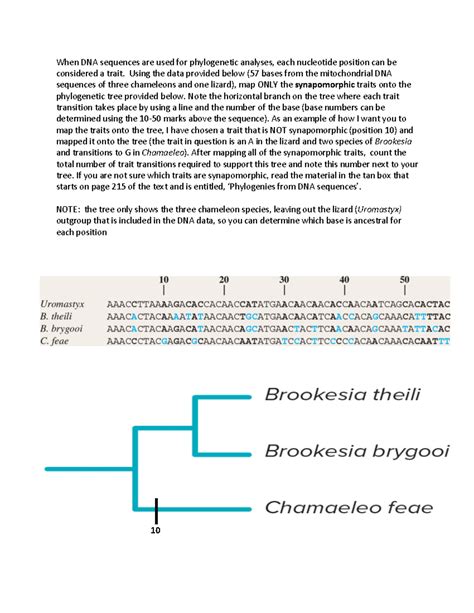 Phylogeny Quiz Question When Dna Sequences Are Used For Phylogenetic