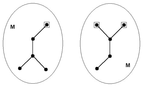 5 shows the maximal elements of m and 6 shows the minimal elements of