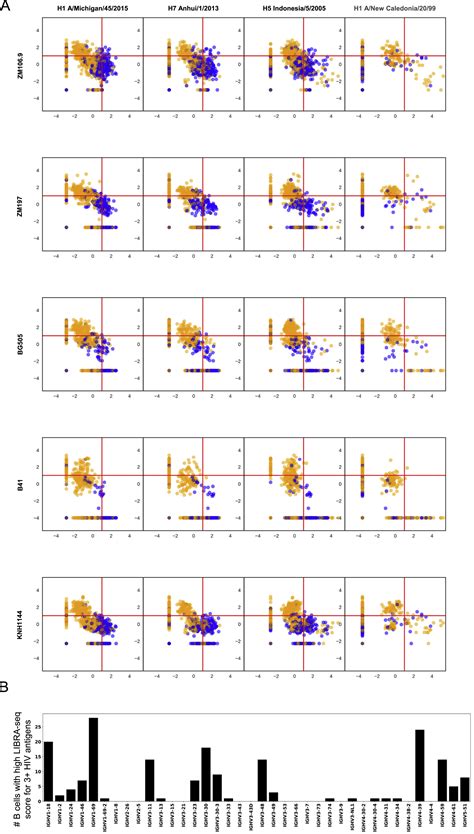 High Throughput Mapping Of B Cell Receptor Sequences To Antigen