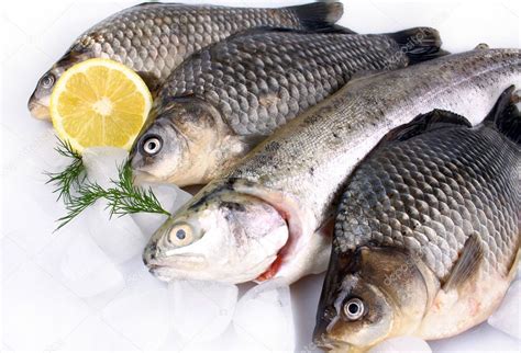 Peixe Fresco No Fundo Branco Com Gelo E Limão — Fotografia De Stock