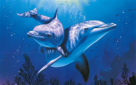 Los animales: LOS DELFINES