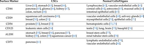 Surface Markers Expressed On The Cscs Could Also Be Expressed On The Download Scientific