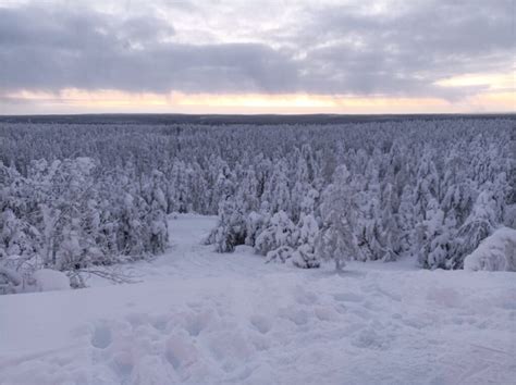 Lapponia Finlandese A Caccia Dell Aurora Boreale MyWhere