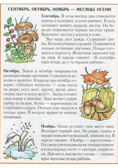 Картинки Задания Осень Telegraph