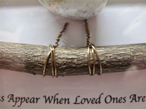 Robins Appear Loved Ones Are Near Sentimental Tthinking Of You