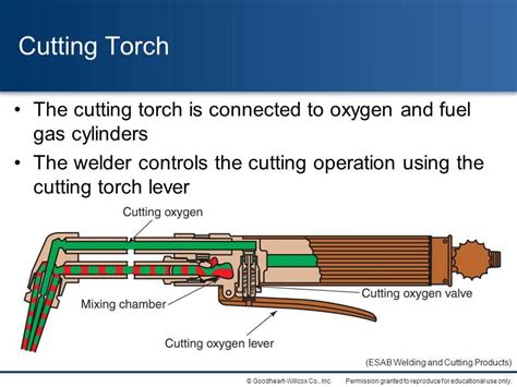 Exploring The Inner Workings Of A Torch A Cutaway Diagram