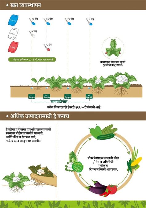 Become A Better Farmer And Increase Your Yields