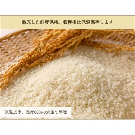 【令和5年度米】新潟県産コシヒカリ（特別栽培米）精米5kg加茂有機米生産組合送料無料 お歳暮 1021 001 02 直送計画