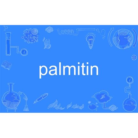 Palmitin百度百科
