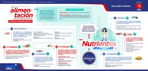 La alimentación como aliado de nuestro sistema inmunológico Te