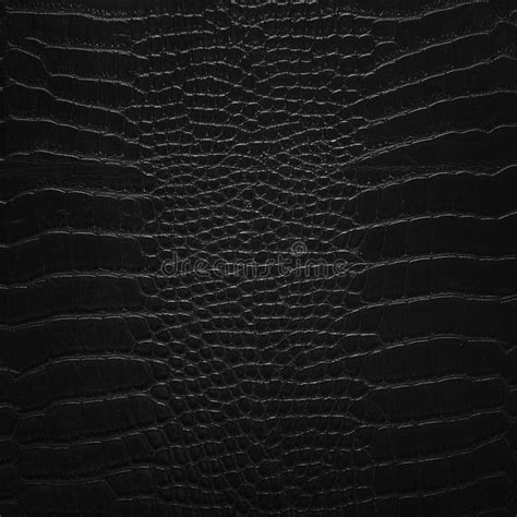 Piel De Serpiente Negra Textura Del Cuero Del Abstrat Para El Fondo