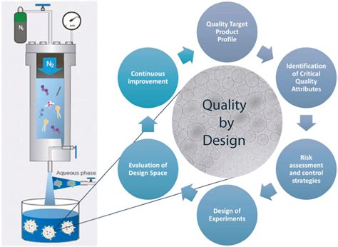 Application of Quality by Design to the robust preparation of a ...