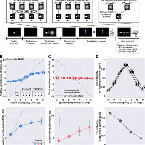 Experimental Procedure Localization Practice And Unimodal