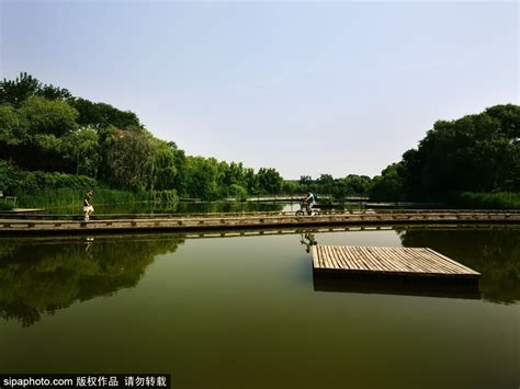 夏日奥体公园绿意盎然好乘凉