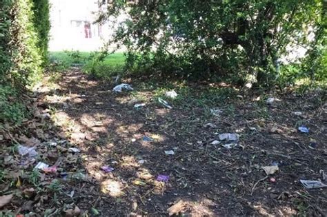 Inside Sex Park Next To Babe That S Littered With Used Condoms And Underwear Daily Star