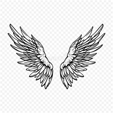 Vector Black Wing Icon Vintage Angel Wings Icon Design Template