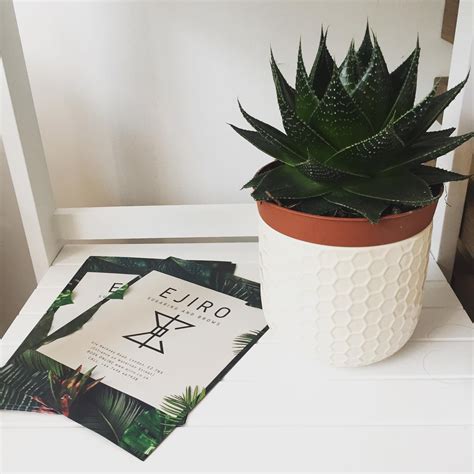 Ejiro The Sugaring Studio May Is Almost Over Who Is Hoping For